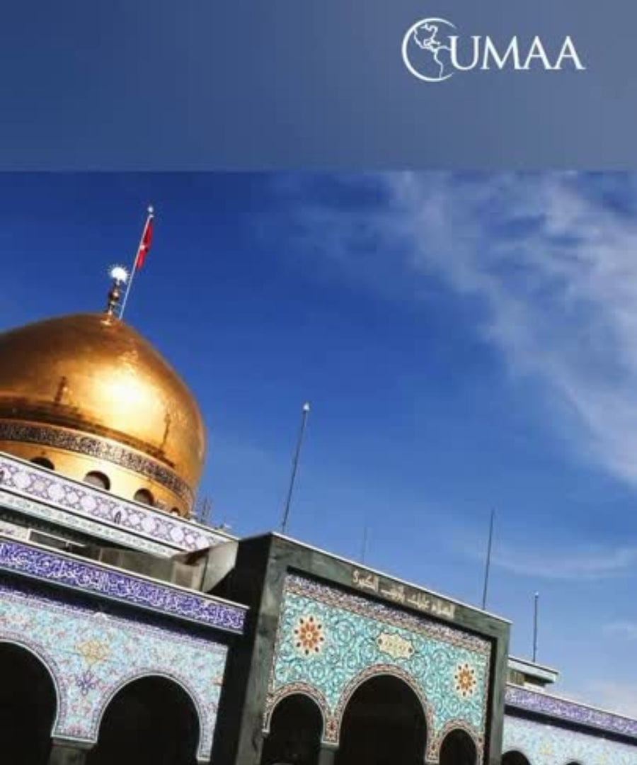 Sayeda Zainab Shrine Nothing But Beauty Project – UMAA Global